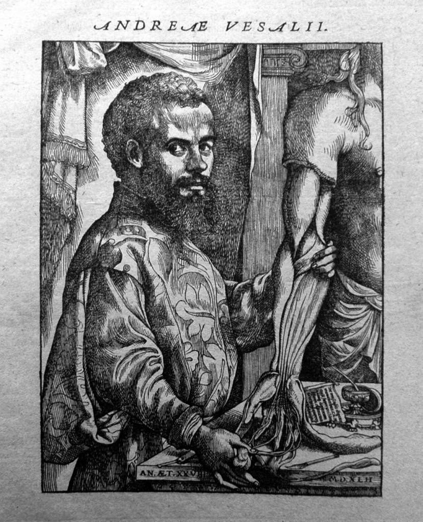 Vesalius | De re medica