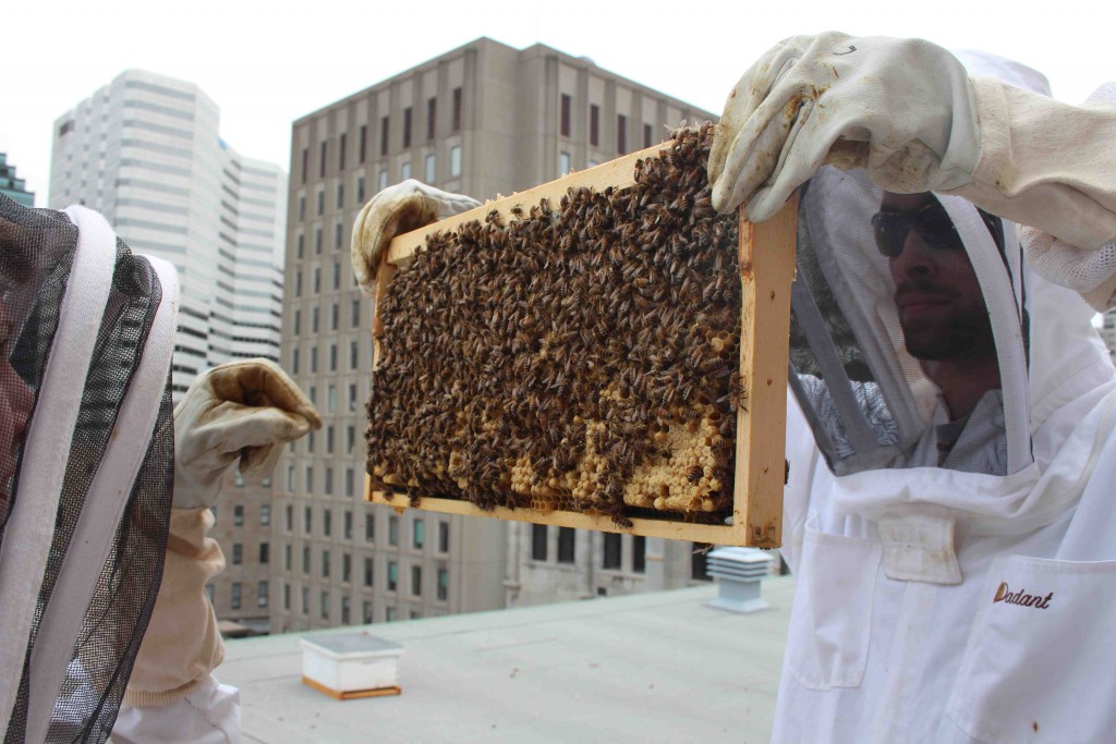 An alternative hive of activity at the Schulich Library | The Turret